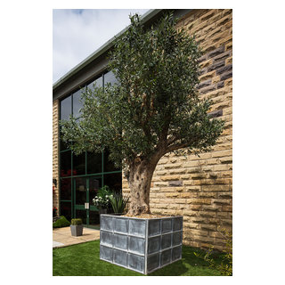 Capital Garden Planters - Classique Chic - Façade - Atlanta - par ...