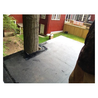 Cedar Stage Treehouse - Modern - Exterior - Boston - by User | Houzz