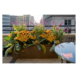 Chicago Roof Garden - Contemporary - Exterior - Chicago - by Craig ...