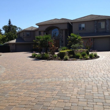 Paver Edging Ideas - Photos & Ideas | Houzz