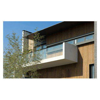Dasso.XTR RainClad® Bamboo Siding - Modern - Exterior - Chicago - by A ...