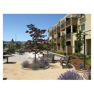 Decomposed Granite Seating Area - Contemporary - Exterior - San ...