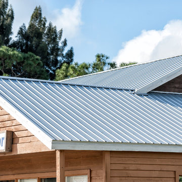 Silver Metal Roof - Photos & Ideas | Houzz