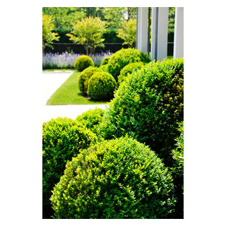 Evergreen Landscape - Rustic - Landscape - New York - by Davis ...