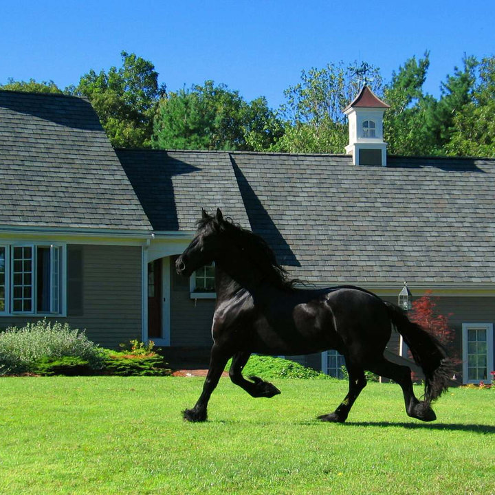 Grand Manor - Photos & Ideas | Houzz