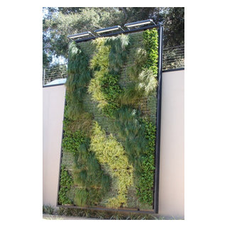 Green Walls - Modern - Exterior - Los Angeles - by Graham Stanley ...