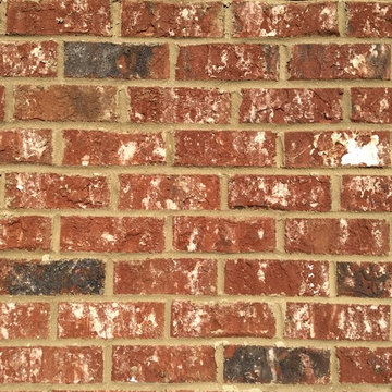Buff Mortar With Auburn Hills Acme Brick - Photos & Ideas | Houzz