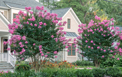 10 Flowering Trees Landscape Architects and Designers Love