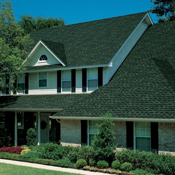 Green Shingle Roof - Photos & Ideas | Houzz