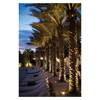 Lifestyle Photos - Tropical - Exterior - Austin - by Illuminations | Houzz