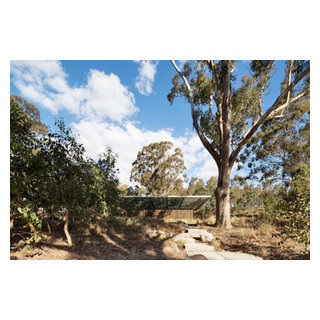 Lizard Log Cabin - Contemporary - Exterior - Sydney - by CHROFI | Houzz