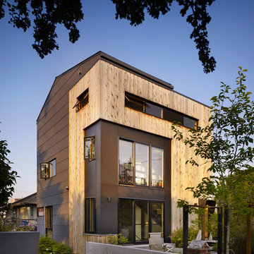 Cembonit Fiber Cement Panels Ideas - Photos & Ideas | Houzz