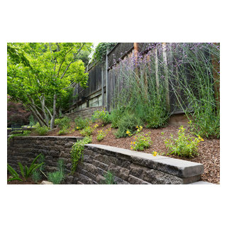 McNear Mosiac Retaining Wall - Modern - Landscape - San Francisco - by ...