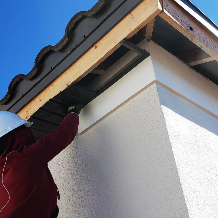 Musket Brown - Photos & Ideas | Houzz