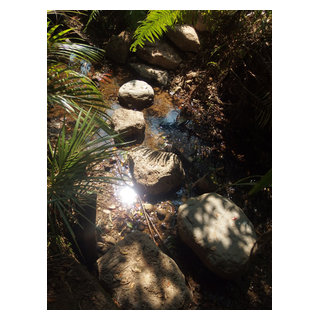 Native bush garden - Exterior - Auckland - by Nick Robinson Landscape ...