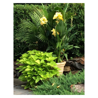 Outdoor Container Plantings & Finishes - Transitional - Exterior - New ...