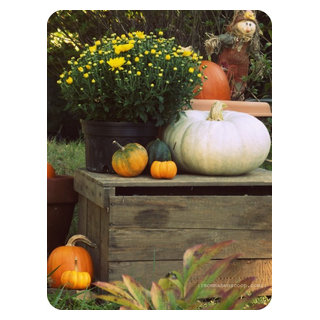 Outdoor vignettes - Eclectic - Exterior - Louisville | Houzz