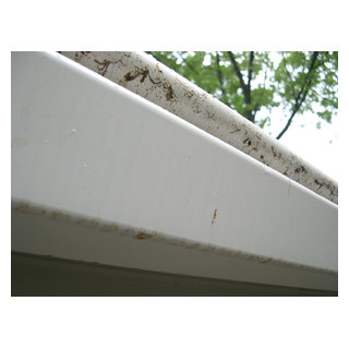Reverse Curve Gutter Guard - Traditional - Exterior - Cleveland - by ...