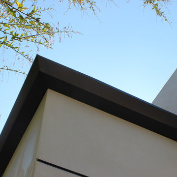 Modern Shapes Rain Gutters Midcentury - Photos & Ideas | Houzz