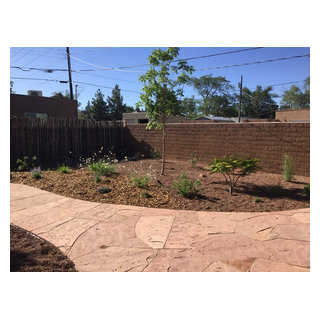 Starr-Lesser Backyard - Eclectic - Exterior - Albuquerque - by Erin's ...