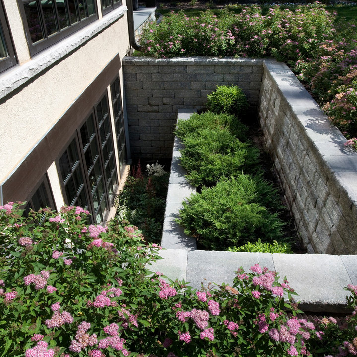 Basement Window Wells - Photos & Ideas | Houzz