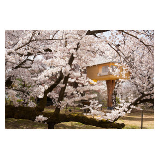 Treehouse - Japanese - Exterior - Tokyo Suburbs - by Shuya Sato ...