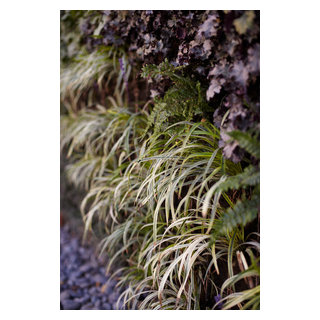 Vertical Living Wall - Minimalistisch - Häuser - San Francisco - von ...