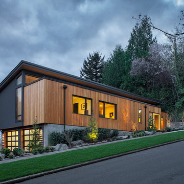 Vertical Siding - Photos & Ideas | Houzz