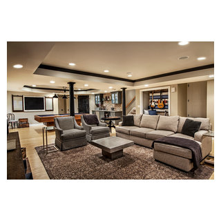 Chicago Chic Basement - Transitional - Family Room - Chicago - by New ...