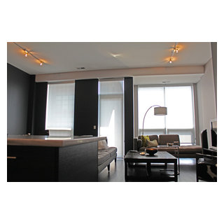 Chicago West Side Screen Shades - Contemporary - Family Room - Chicago ...