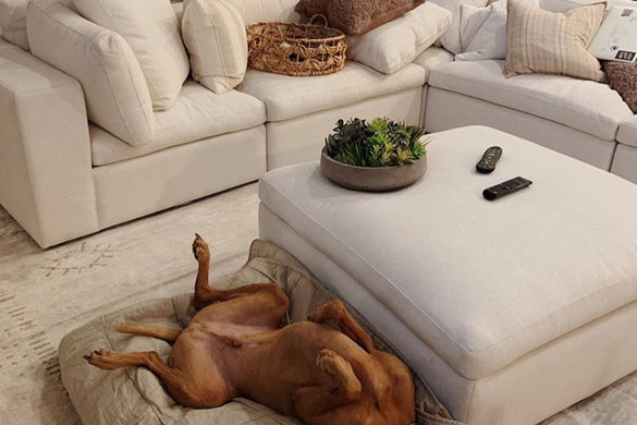 MONARCH SOFAS - Project Photos & Reviews - Beverly Hills, CA US | Houzz