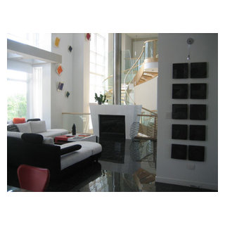 Contemporary - Modern - Contemporary - Family Room - Baltimore - by ...