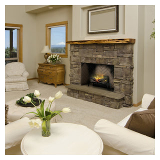 Dimplex Electric Fireplace Inserts - Shabby-chic Style - Family Room ...
