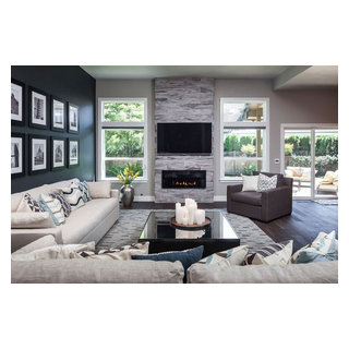 Emser Tile Living Rooms - Transitional - Family Room - Minneapolis - by ...