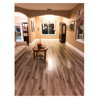 Furry friendly house - Traditional - Family Room - Tampa - by Hauz ...