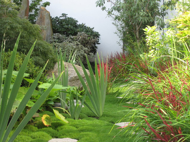 Grüner Teppich im Garten: Moos kultivieren oder verbannen?