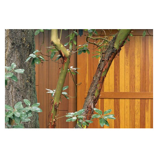 Bainbridge Island House - Contemporary - Landscape - Melbourne - by ...