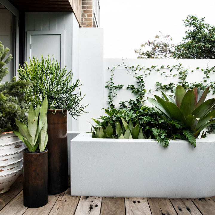 75+ Gartenmauer Ideen und Bilder | Houzz DE