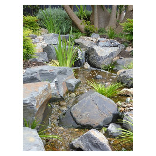 Camberwell Japanese garden stream - Asian - Landscape - Other - by Ben ...