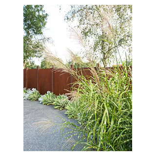 Circle pool garden Hawthorn - Modern - Landscape - Melbourne - by Paal ...