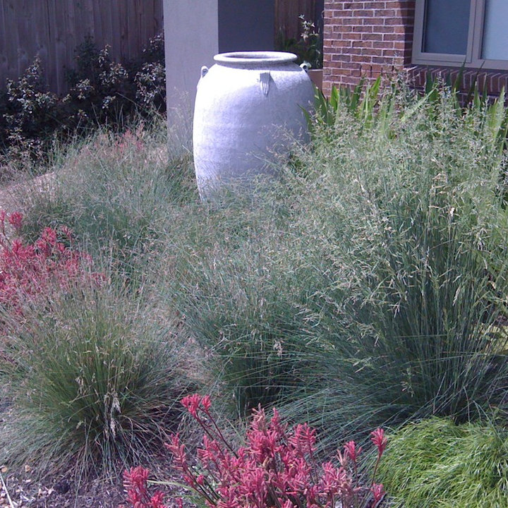 75 Beautiful Australian Native Garden Ideas & Designs - August 2022 ...