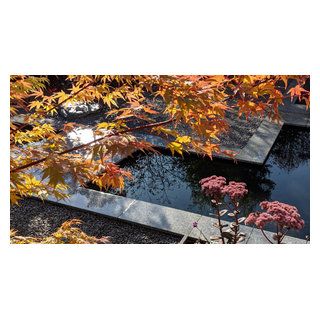 Contemporary Pond Garden - Modern pond. - Contemporary - Garden ...