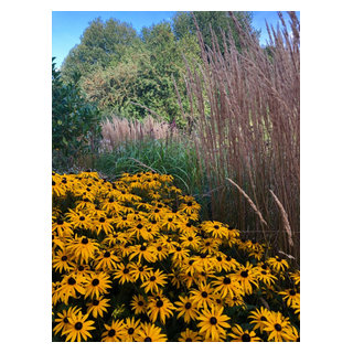 Country Front Garden with a natural prairie style planting - Farmhouse ...