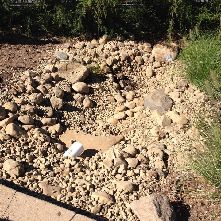 Dry Creek Bed Design - Photos & Ideas | Houzz