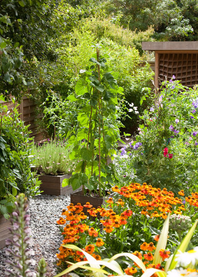 10 Ways to Make Your Garden More Productive