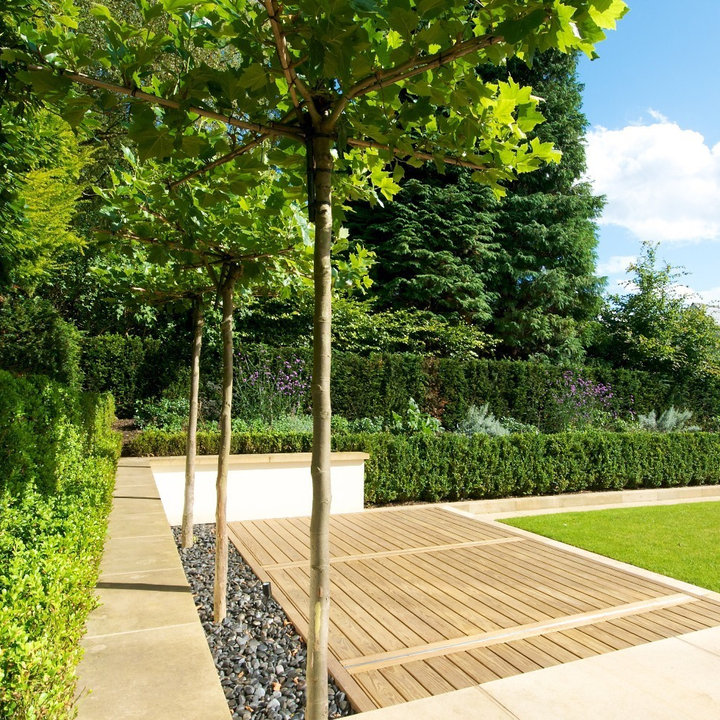 House On Stilts - Photos & Ideas | Houzz