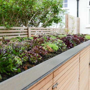 Sideways Planter - Photos & Ideas | Houzz