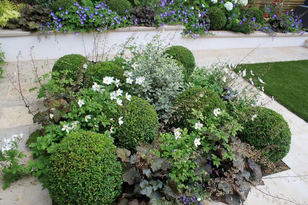 10 Common Garden Design Mistakes and How to Avoid Them | Houzz UK