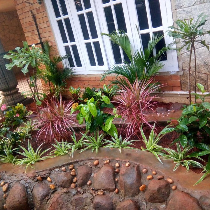 Indian Garden Design Ideas, Inspiration & Images - February 2023 | Houzz IN