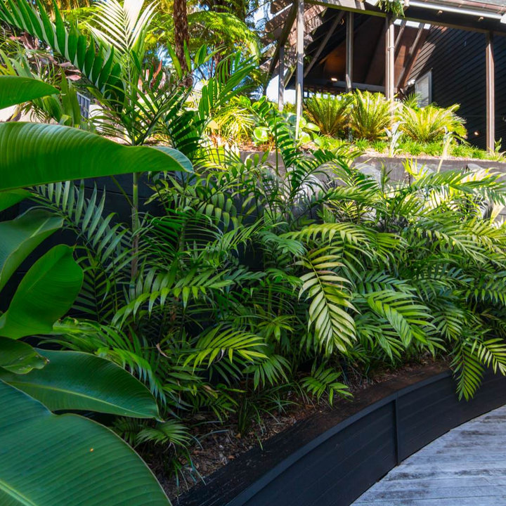 75 Tropical Privacy Landscaping Ideas You'll Love - June, 2025 | Houzz